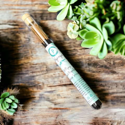 Wynnya Incense Sticks (40 refill) – Mosquito & Insect Repellent – Smart ...